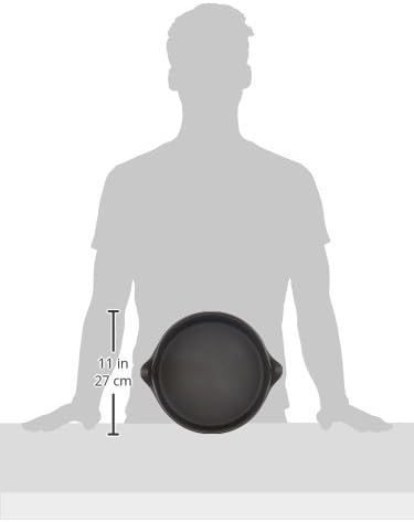 Oigen Nanbu Tekki Sukiyaki pot with vine 26cm IH compatible CA-2 – Goods Of Japan