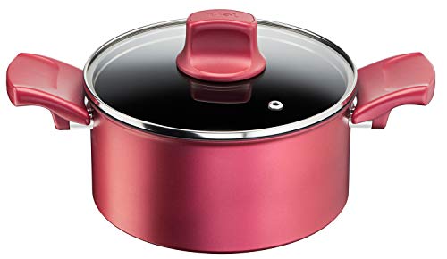 Tefal Two-Handed Pot 20cm IH Compatible IH Rouge Unlimited Stew Pot Ti ...