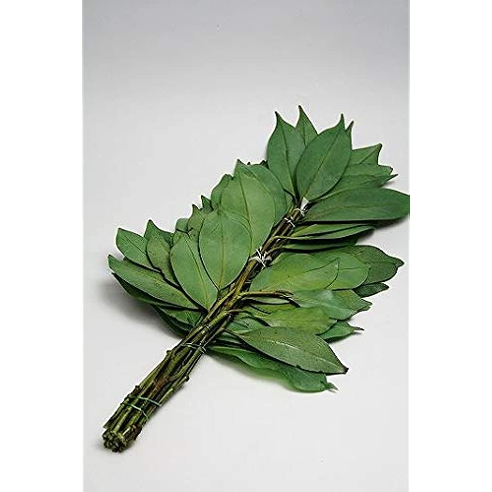 Sakaki Sakaki no Sato Shinjuka Shinto Shinjuka Sakaki, Preserved Sakak ...