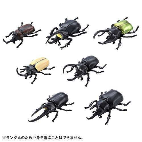 Ania Raffle 6: The King of the Forest Insect Collection 2 DP-BOX ...