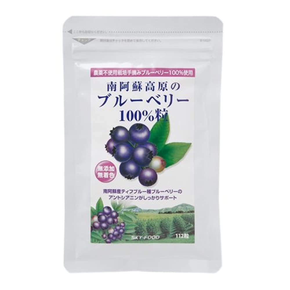 28g (112 grains) of 100% blueberries from Minami Aso Kogen – Goods Of Japan