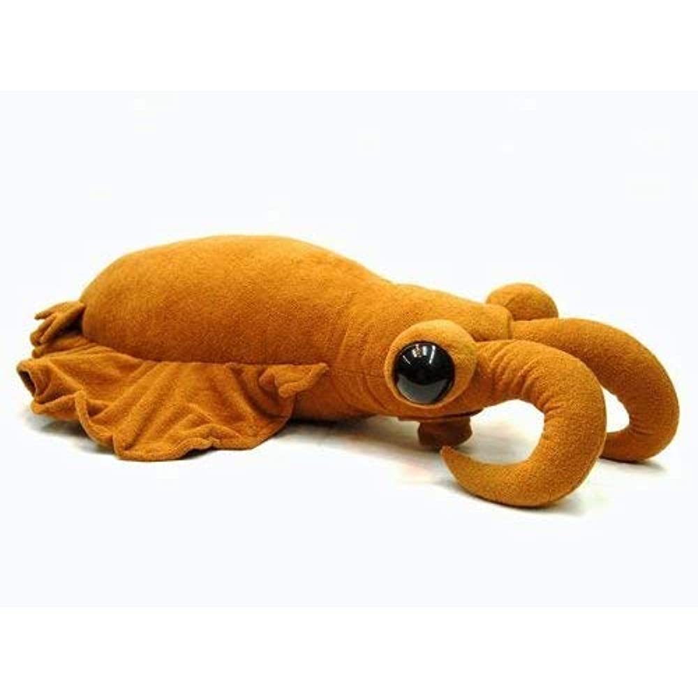 Anomalocaris Stuffed Toy L Size – Goods Of Japan