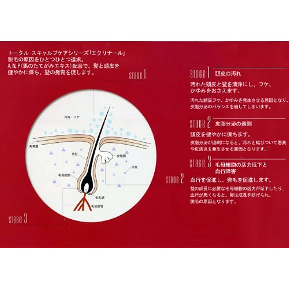 Demi ekurina-ru Shadow Shampoo 800 kondyisyonna- 800 Set – Goods Of Japan