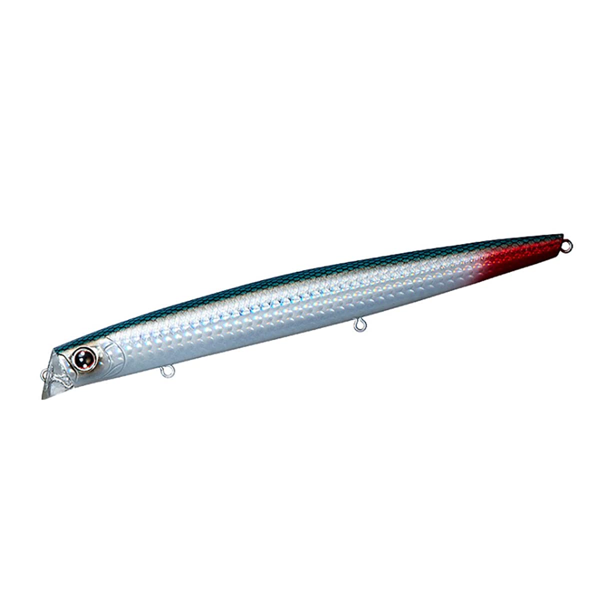 Daiwa (Daiwa) Seabass Minoda More Shallow Upper SLIM 160F-SSR Lure ...
