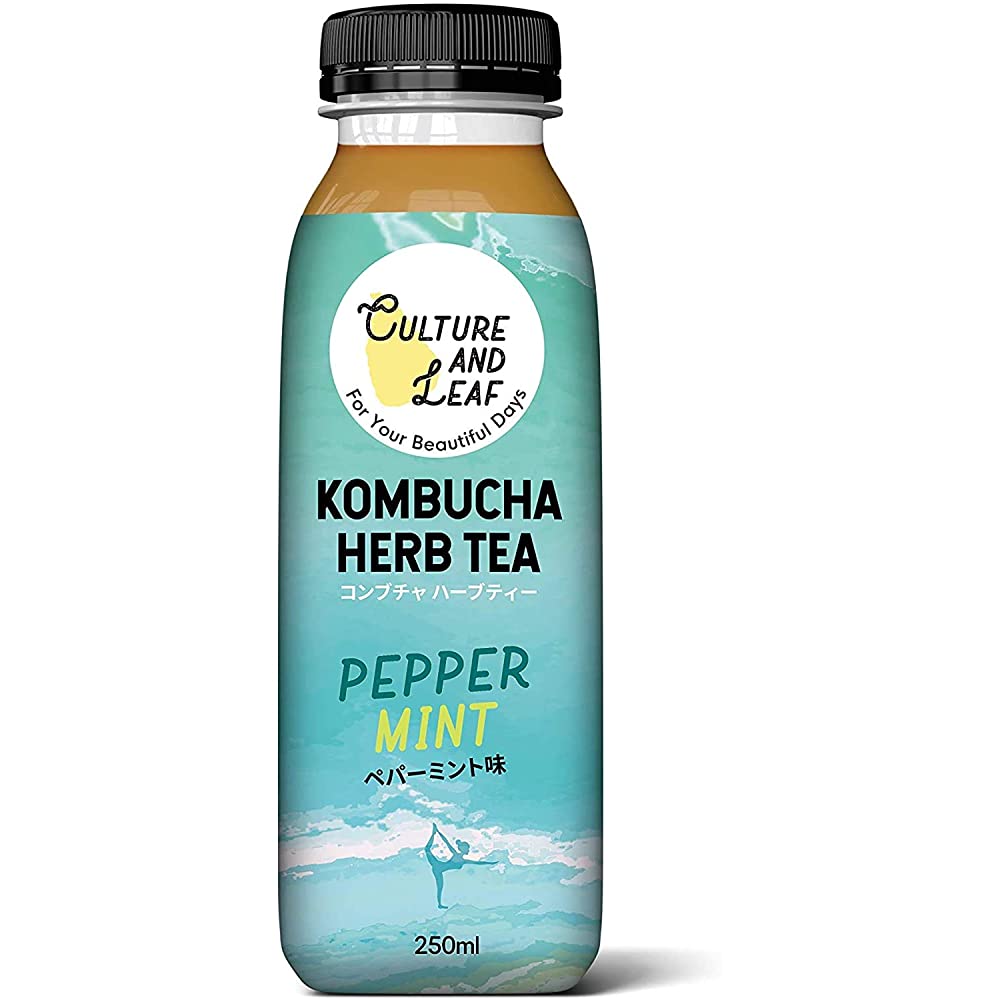 Kombucha HerbTea Culture & Leaf Herbtea Peppermint (250ml x 24 cans ...