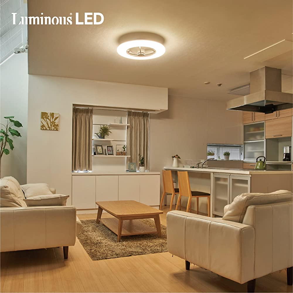 Doshisha Circulite Ceiling Series, Standard Model, Ceiling Fan, 173.4 ...